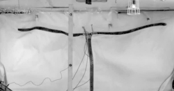 Anh thử nghiệm thành công lớp lót chống bom cho máy bay | Tạp chí Giao ...